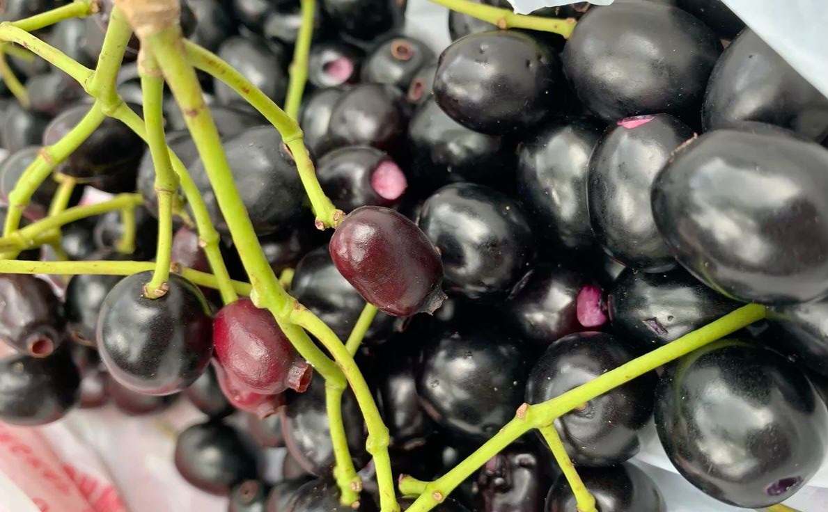 Duwet, Buah Tradisional yang Ternyata Super untuk Gaya Hidup Modern